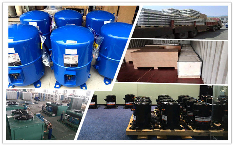 จีน Shenzhen Ruifujie Technology Co., Ltd. รายละเอียด บริษัท